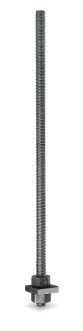 White Cap | Simpson Strong-Tie PAB7X24 Pre-assembled Anchor Bolt