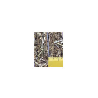 White Cap | American Excelsior BioNet 8' x 112.5' Coco Blanket 100 sq ...