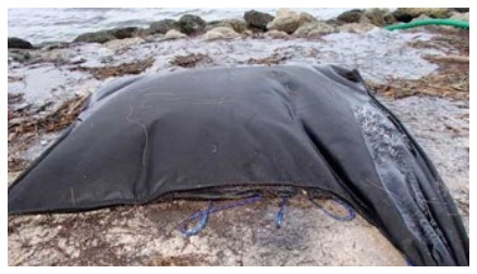 White Cap | 6' x 9' Dewatering Bag Sediment Only