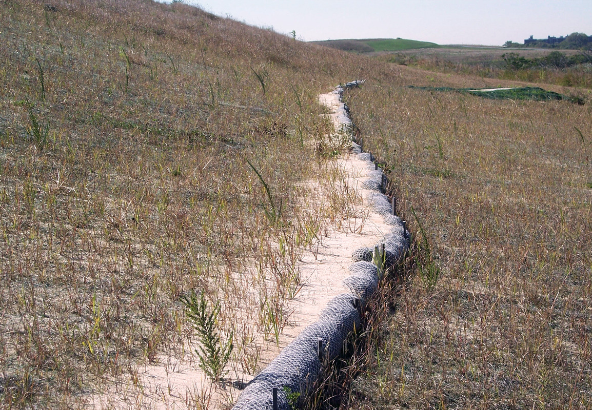 White Cap | American Excelsior Company Curlex 15' x 9" Fiber Sediment Log