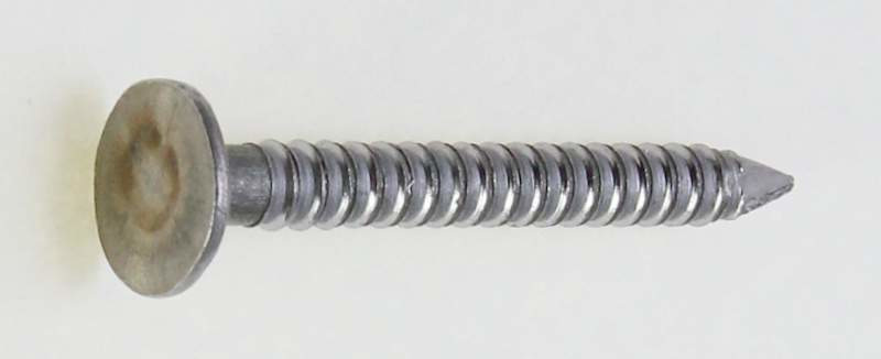 White Cap | Maze Nails 1-1/2" Pan Nails