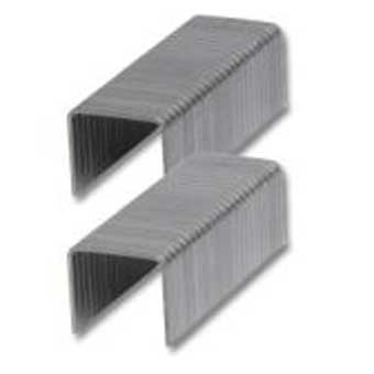 White Cap | Rapid 1/4" A19-Style Staples