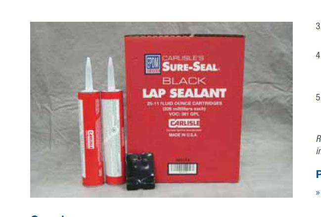 White Cap | Carlisle Coatings & Waterproofing Sure Seal 10 oz. Tube ...