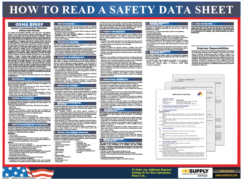 White Cap | Certified Safety Bloodborne Pathogens Training Poster - English