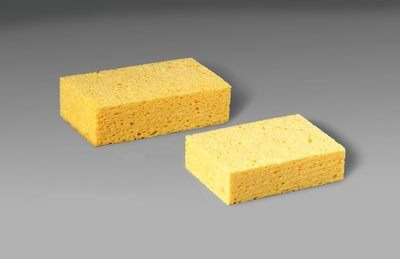 big sponge