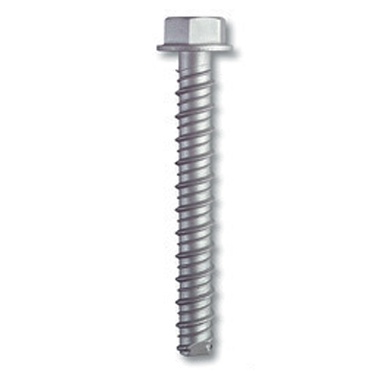 White Cap | Screw Anchors